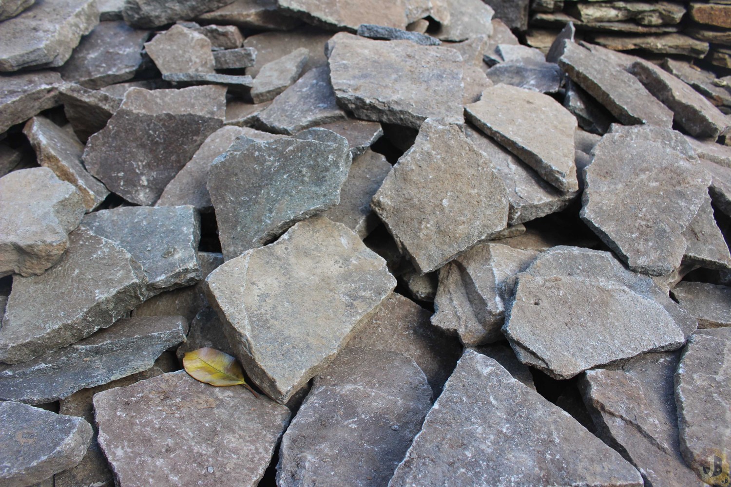 Ara-al Crazy Cut - Jbrock.ph